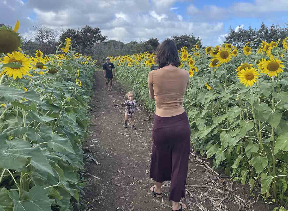 Waimanalo Country Farms: Your Oahu Farm Adventure in Hawaii